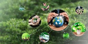 基幹PKGの開発：PRONES、PROFOURS – 株式会社エイコウ